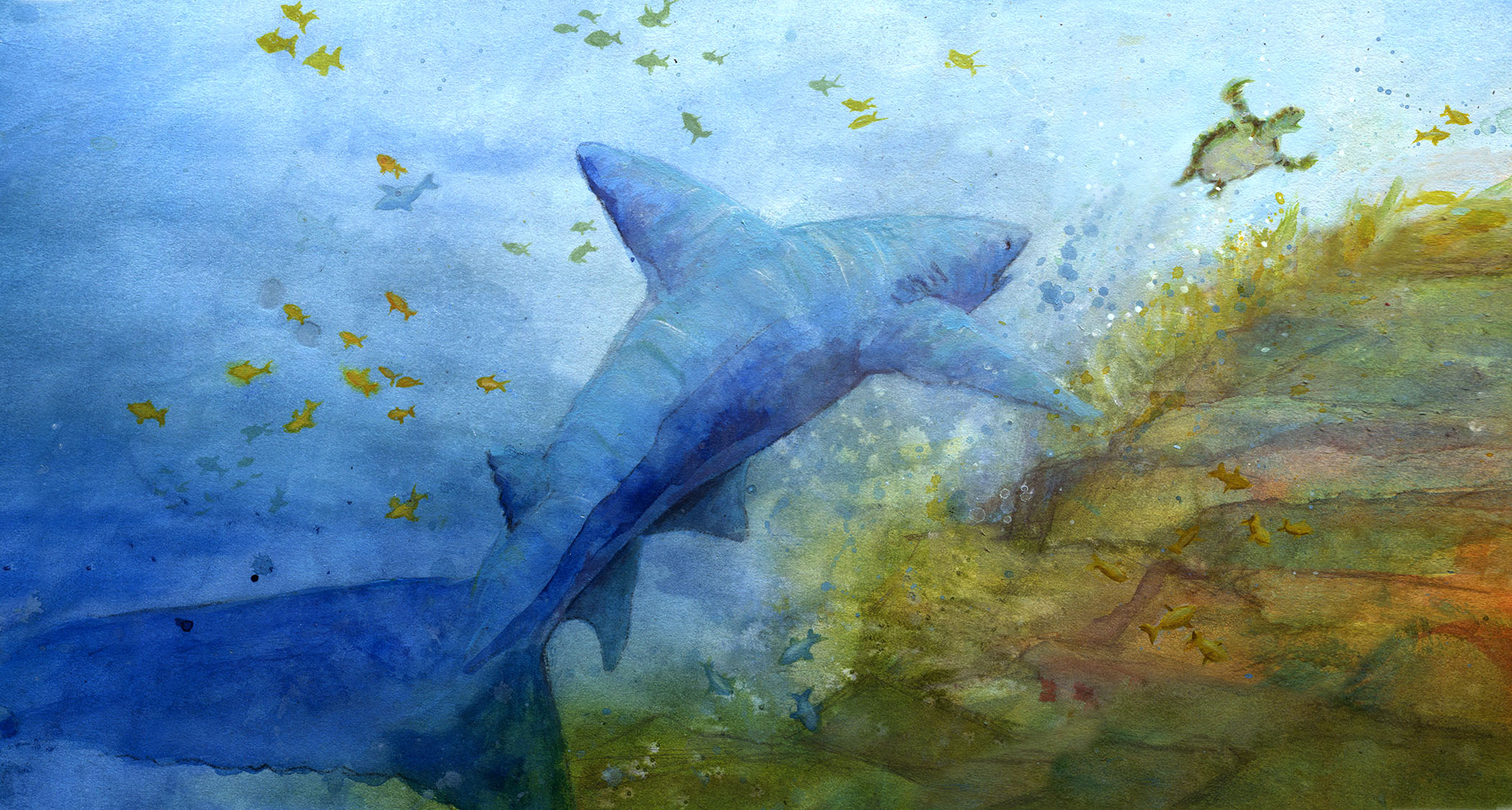 Cheryl Pilgrim – Artist & Children's Book Author/Illustrator